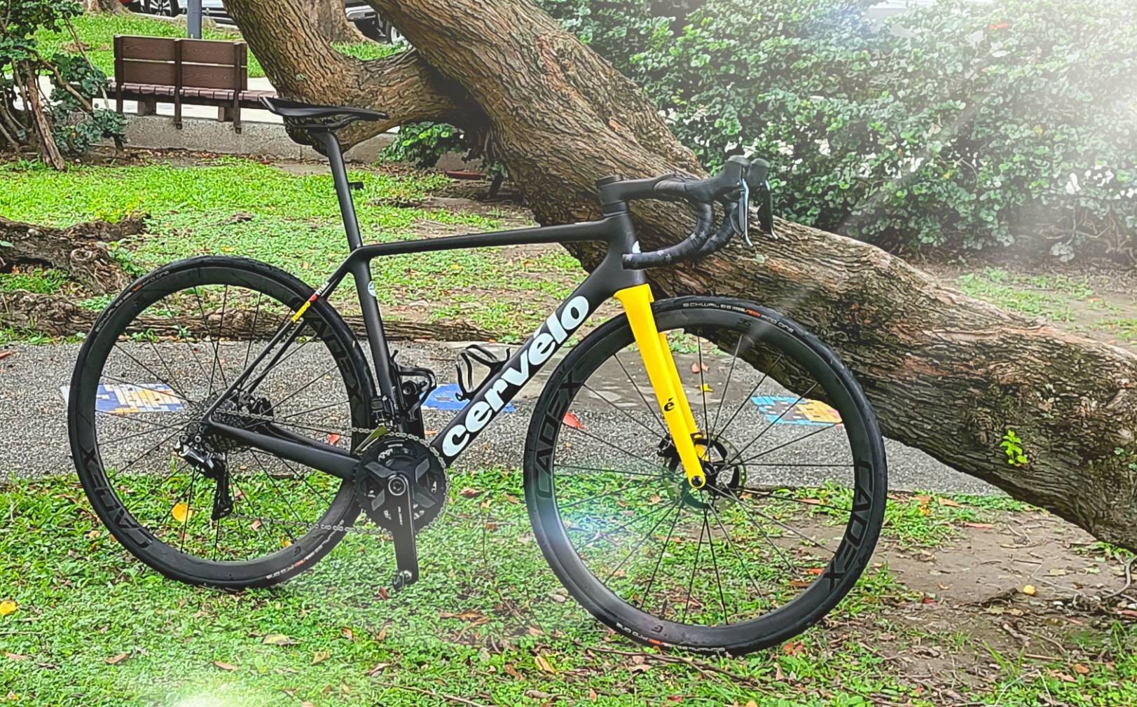 2022 Cervelo New R5 Team - YOYO Cycles